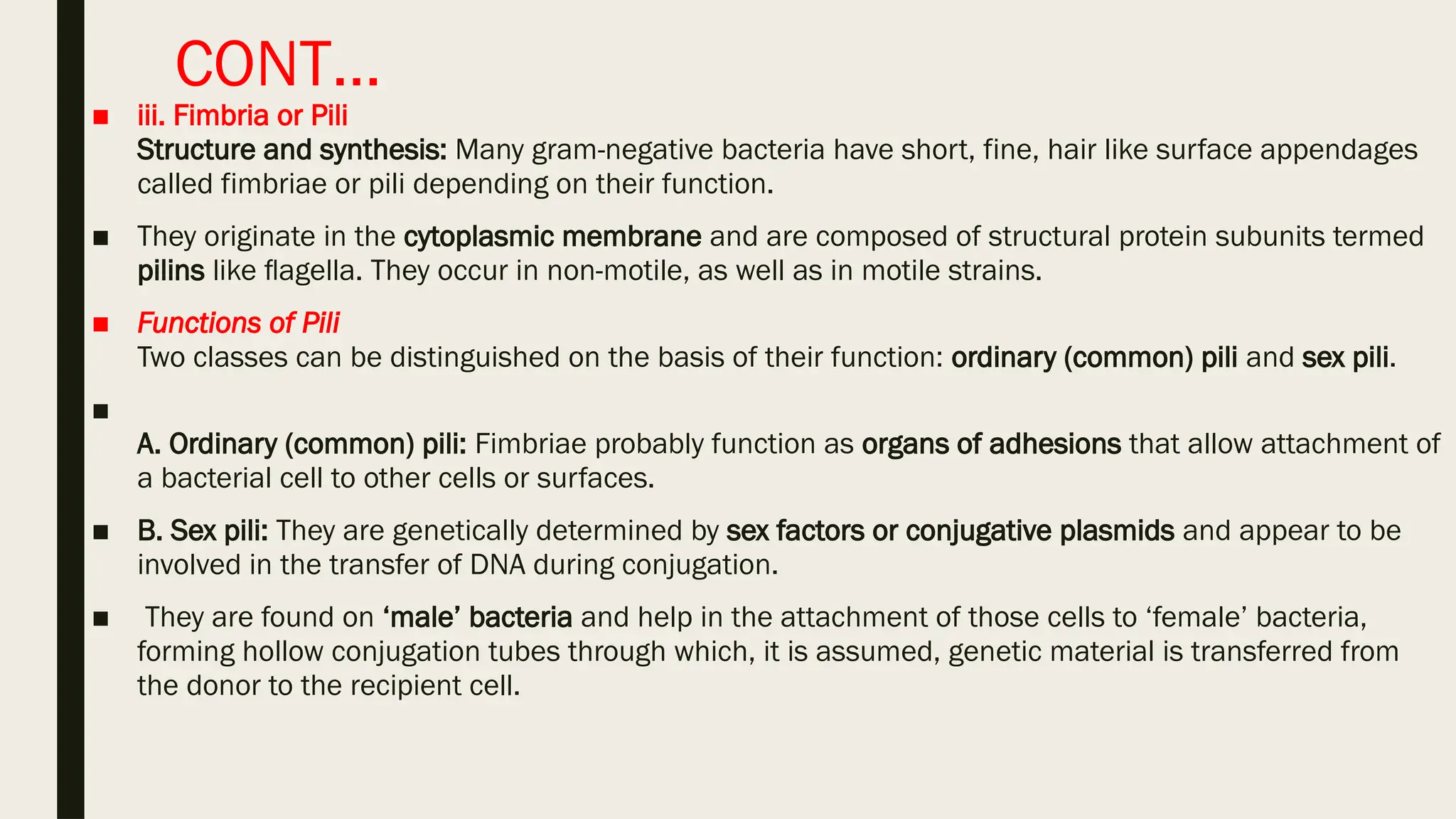 BACTERIA MORPHOLOGY and characterization | PPTX