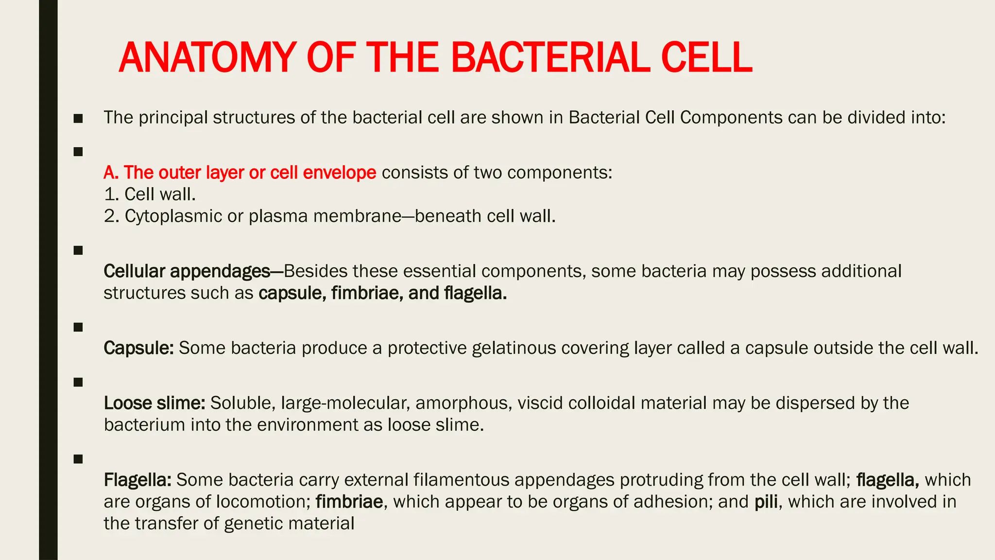 BACTERIA MORPHOLOGY and characterization | PPTX