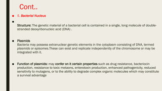 BACTERIA MORPHOLOGY and characterization | PPTX