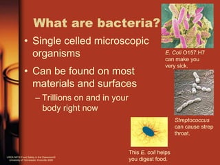 Bacteria notes presentation | PPT