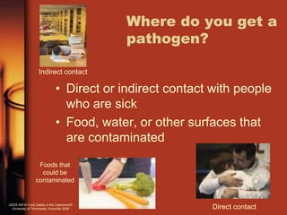 Bacteria notes presentation | PPT