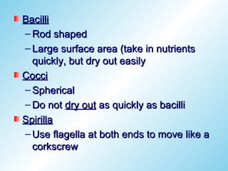 Bacteria notes pt 1 | PPT