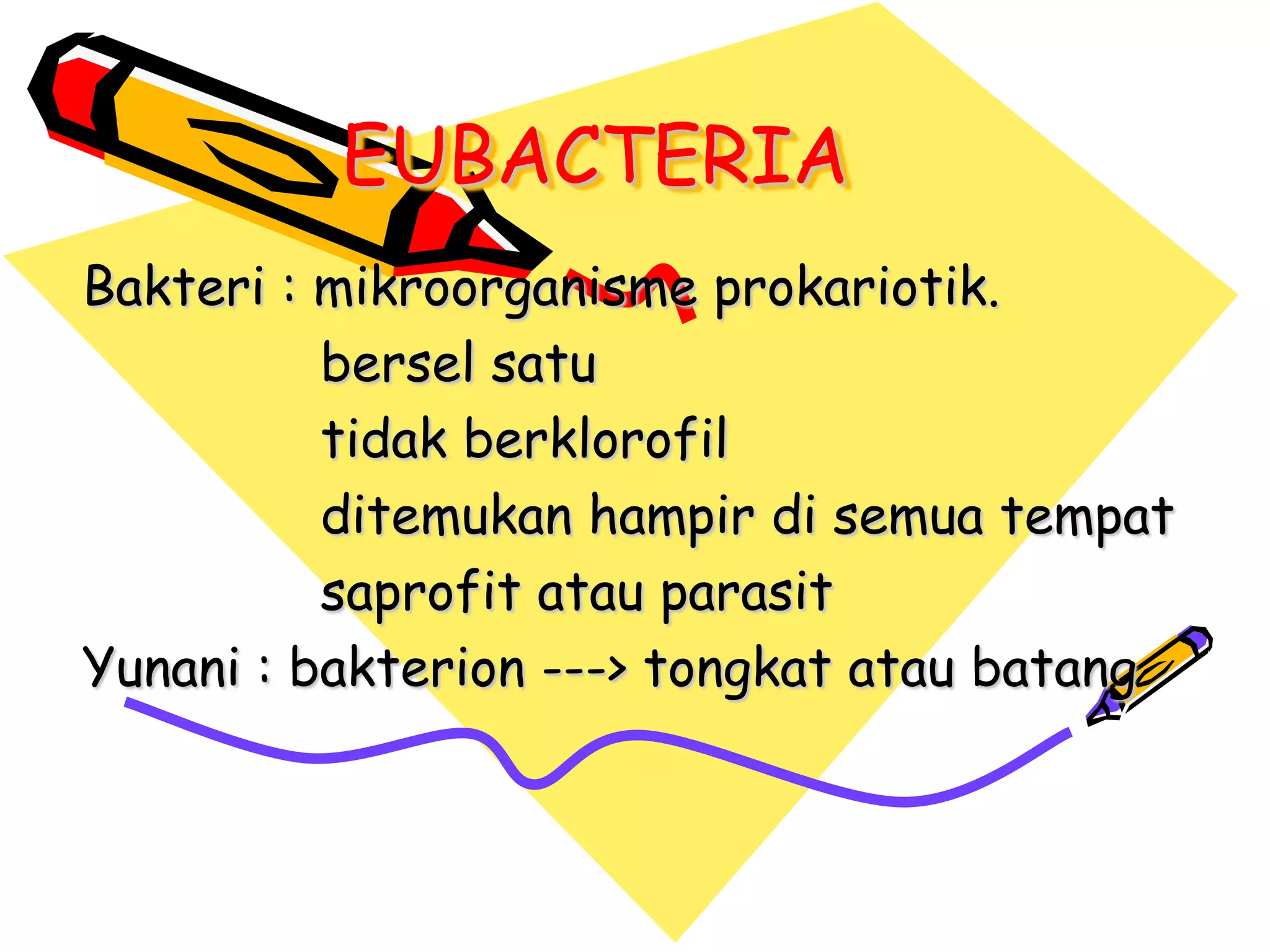 Bacteria, part one | PPTX