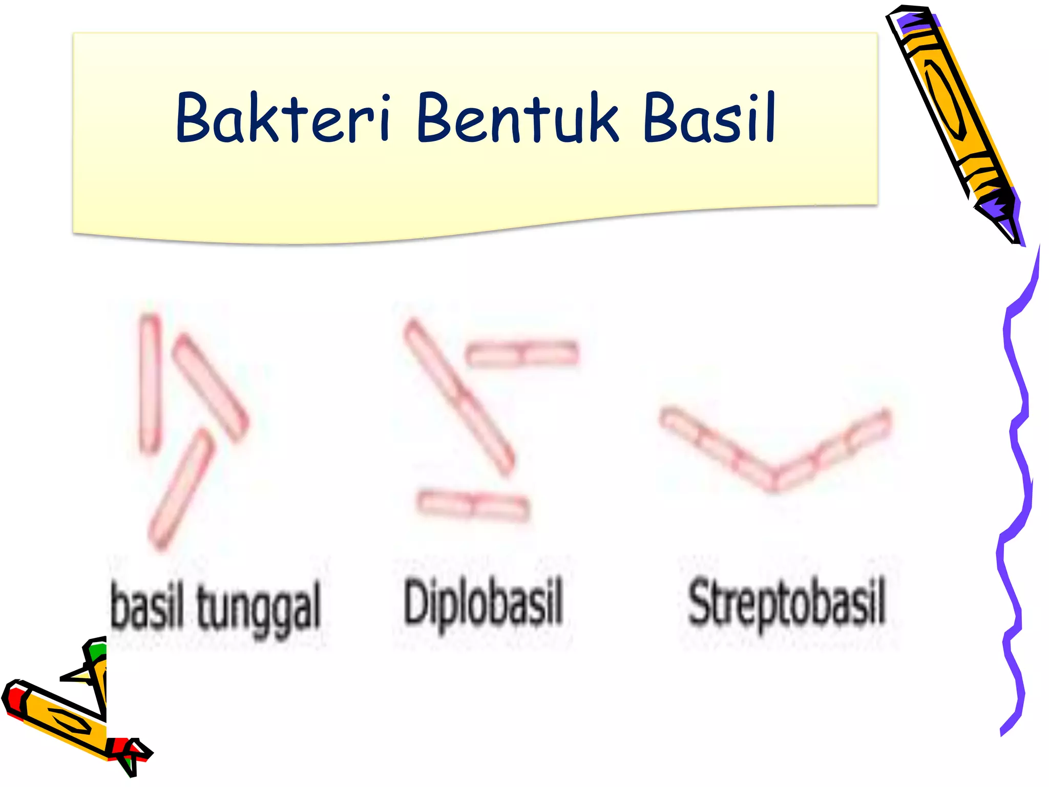 Bacteria, part one | PPTX