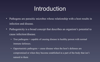 Bacteria Pathogenesis tugas kuliah fix.pptx