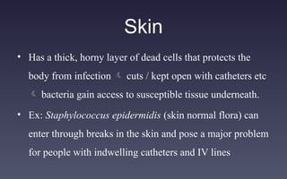 Bacteria Pathogenesis tugas kuliah fix.pptx