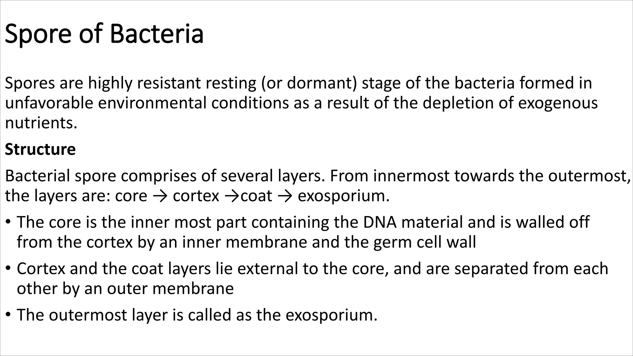 BACTERIA pdf.pdf