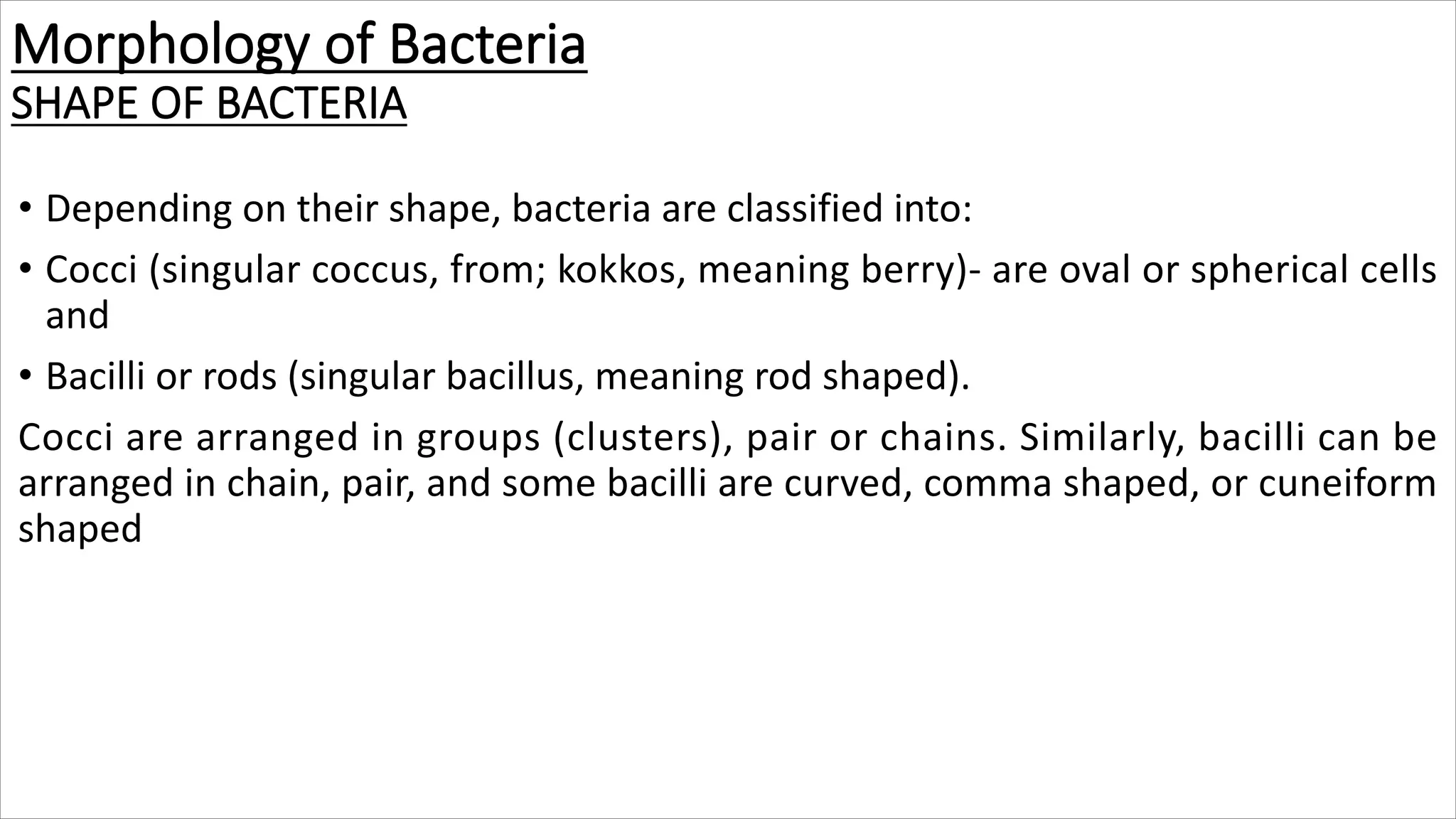 BACTERIA pdf.pdf