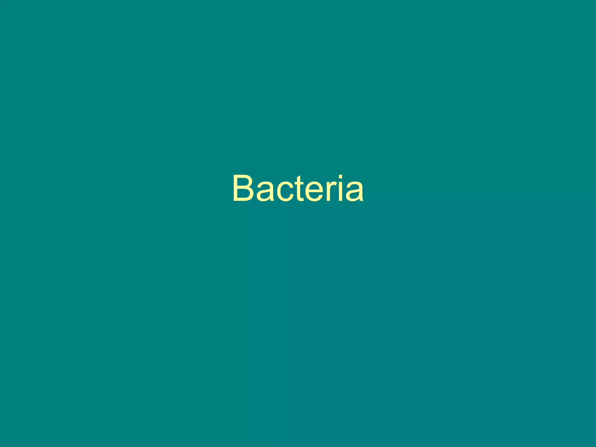 Bacteria powerpoint | PPT