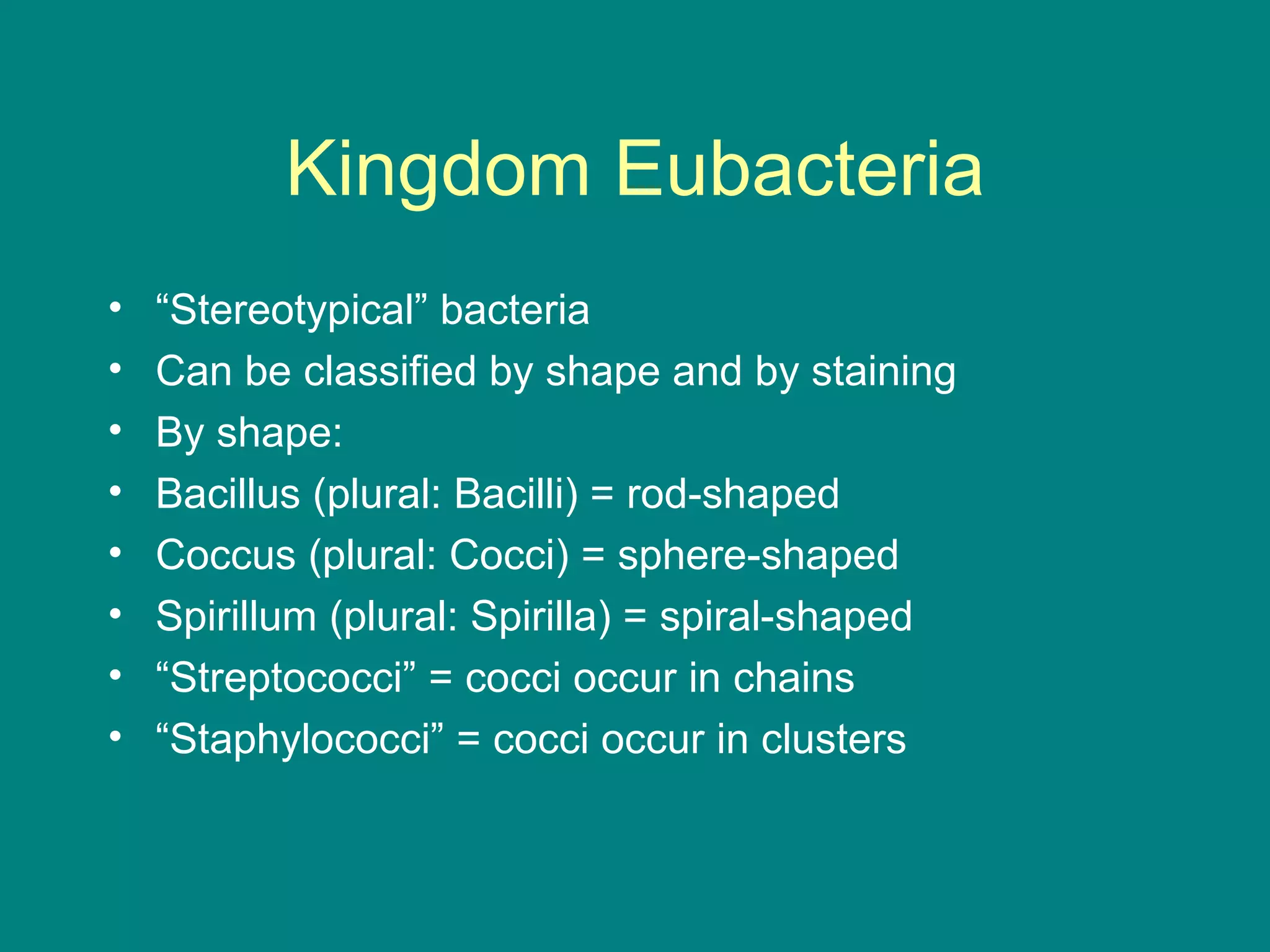 Bacteria powerpoint | PPT