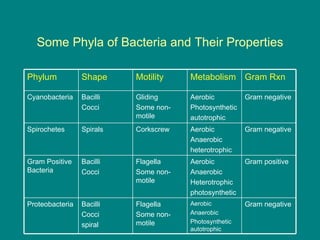 Bacteria powerpoint | PPT