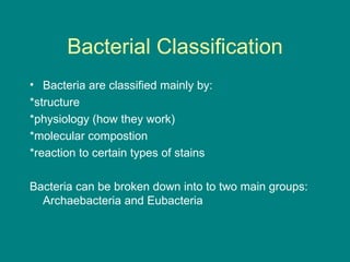 Bacteria powerpoint | PPT