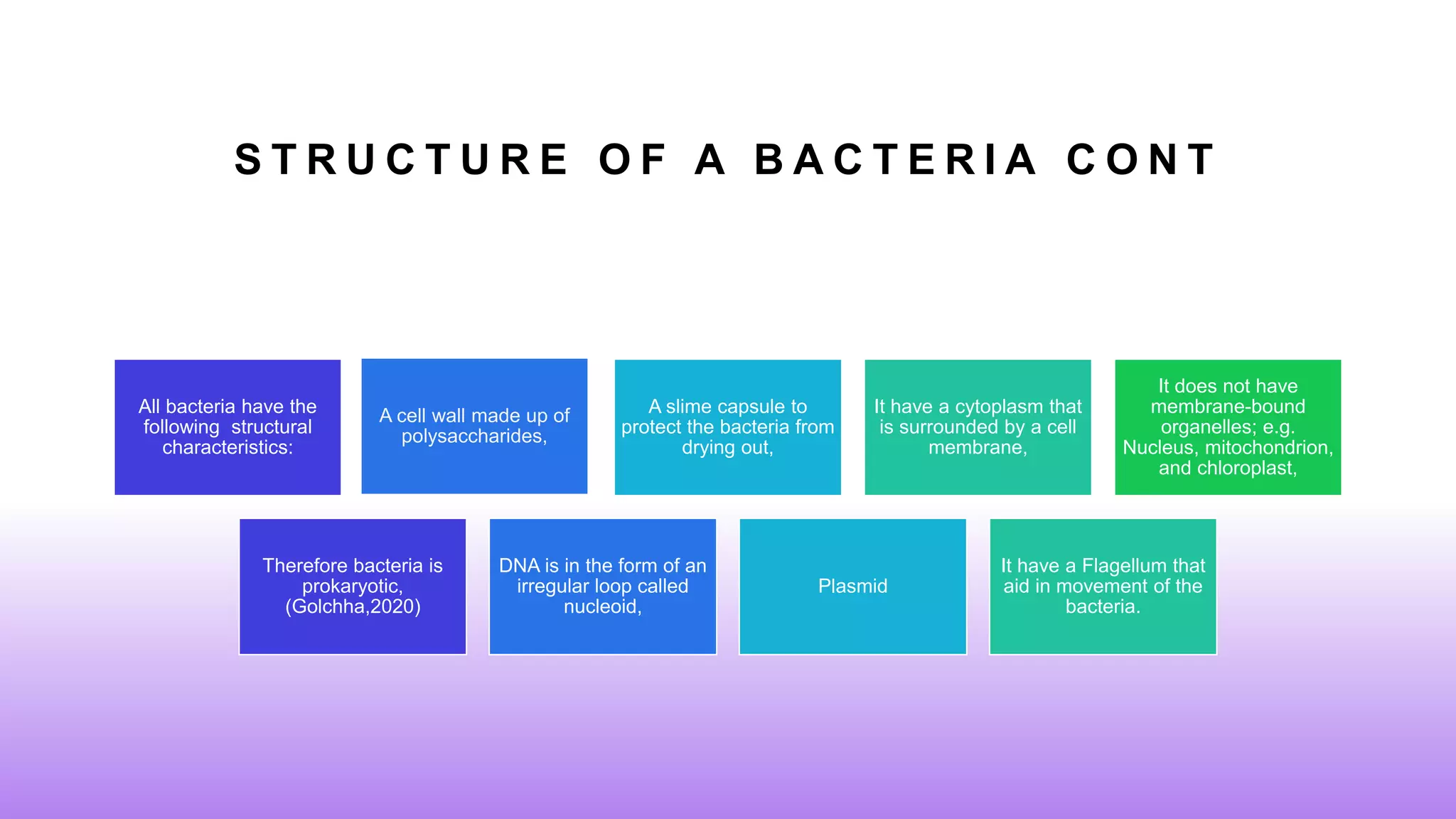 BACTERIA POWERPOINT.pptx
