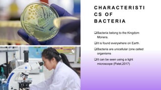 BACTERIA POWERPOINT.pptx