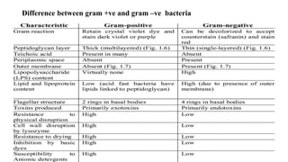 Bacteria ppt | PPTX