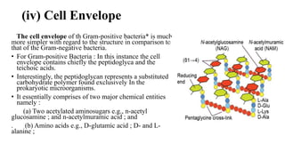 Bacteria ppt | PPTX