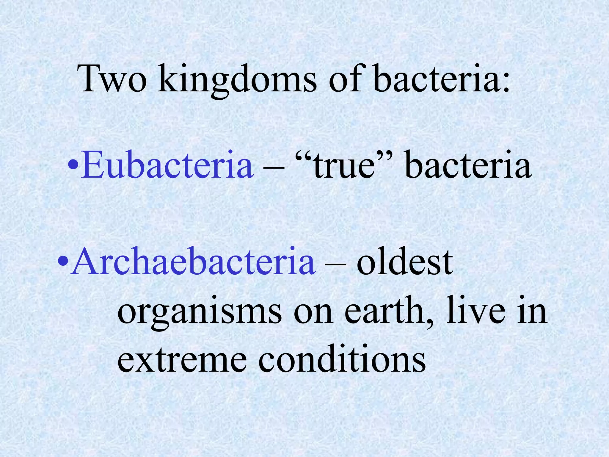 Bacteria_ppt.ppt