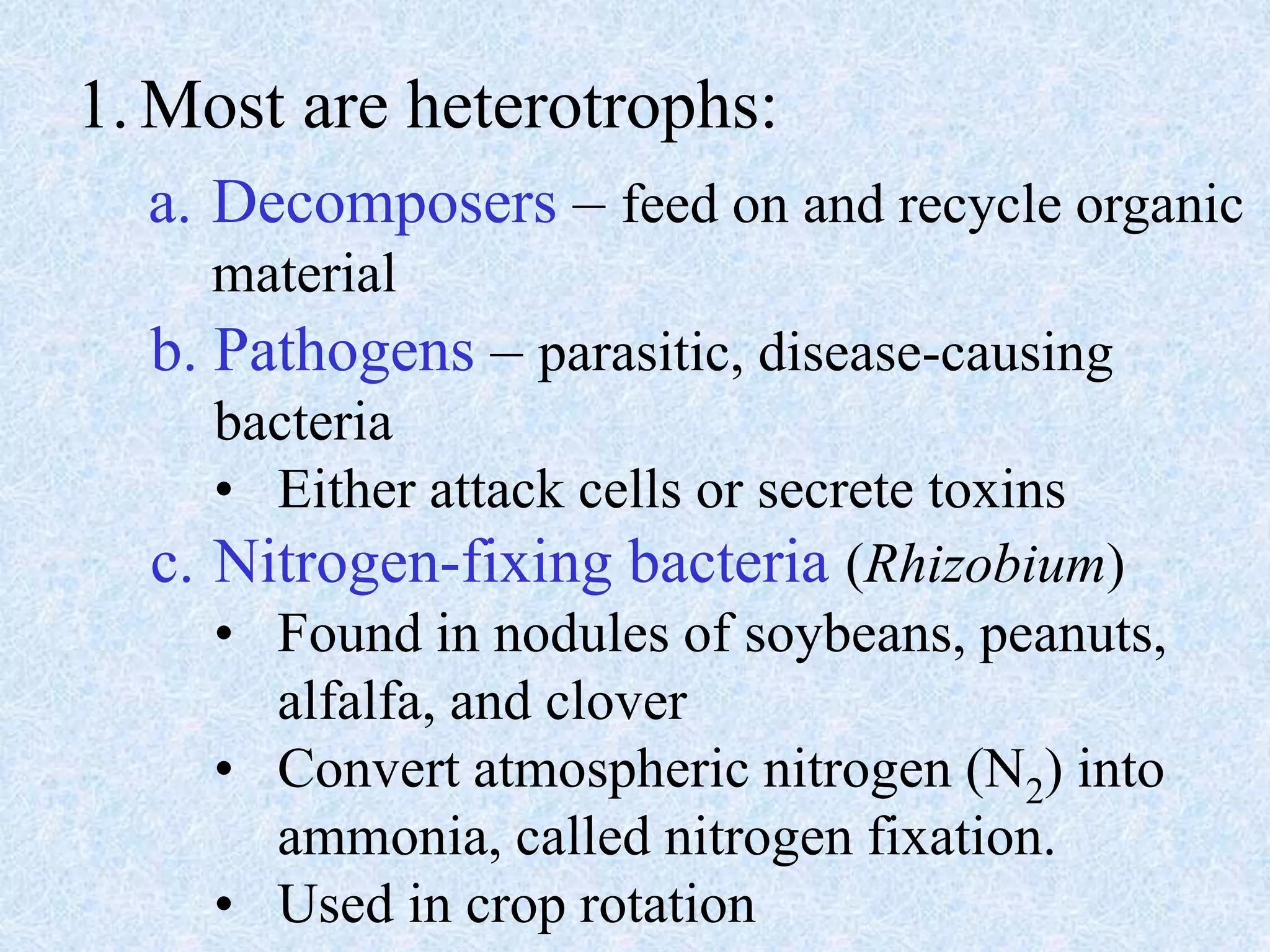 Bacteria_ppt.ppt