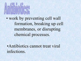 Bacteria_ppt.ppt