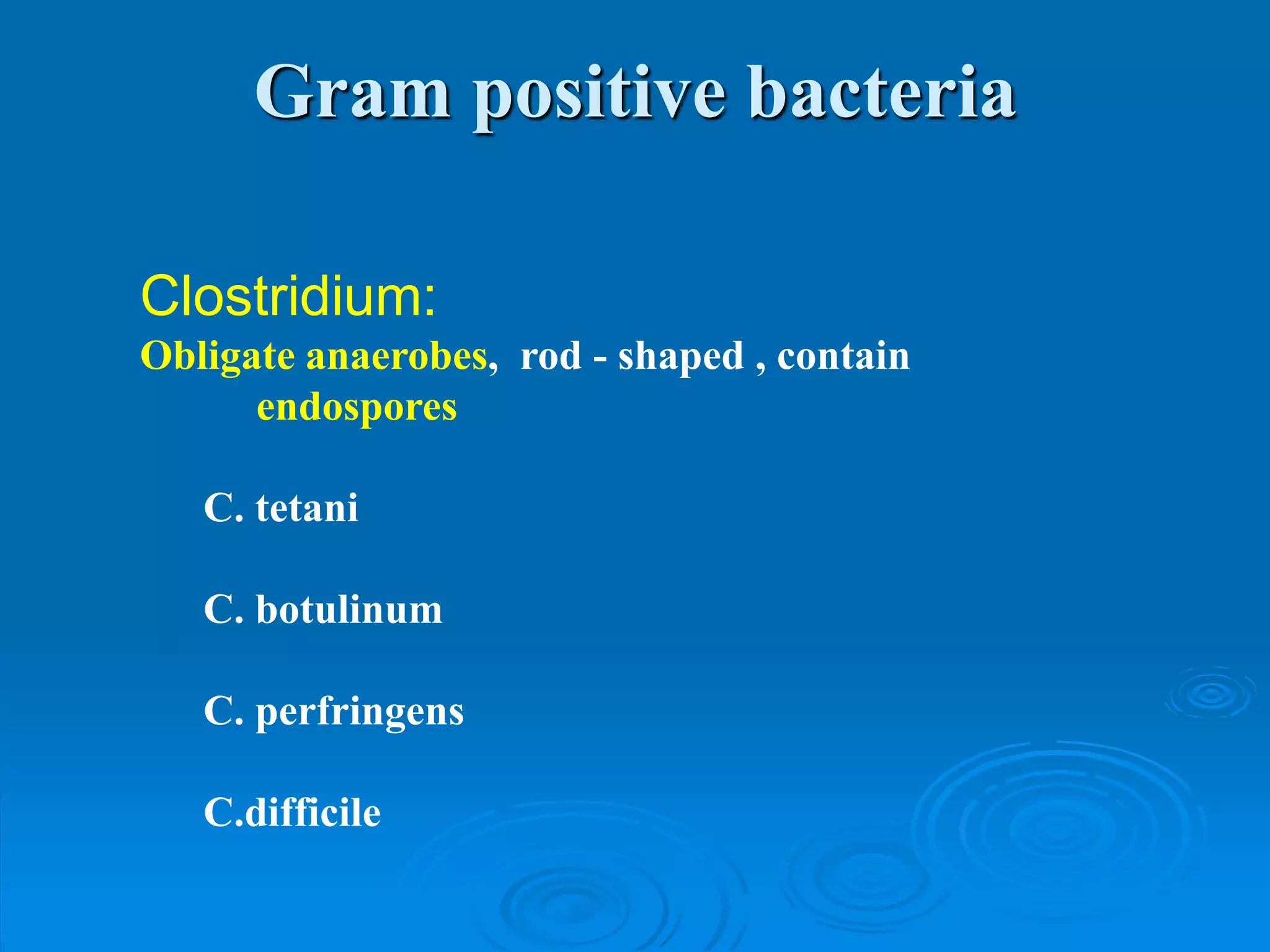 Bacteria ppt.ppt