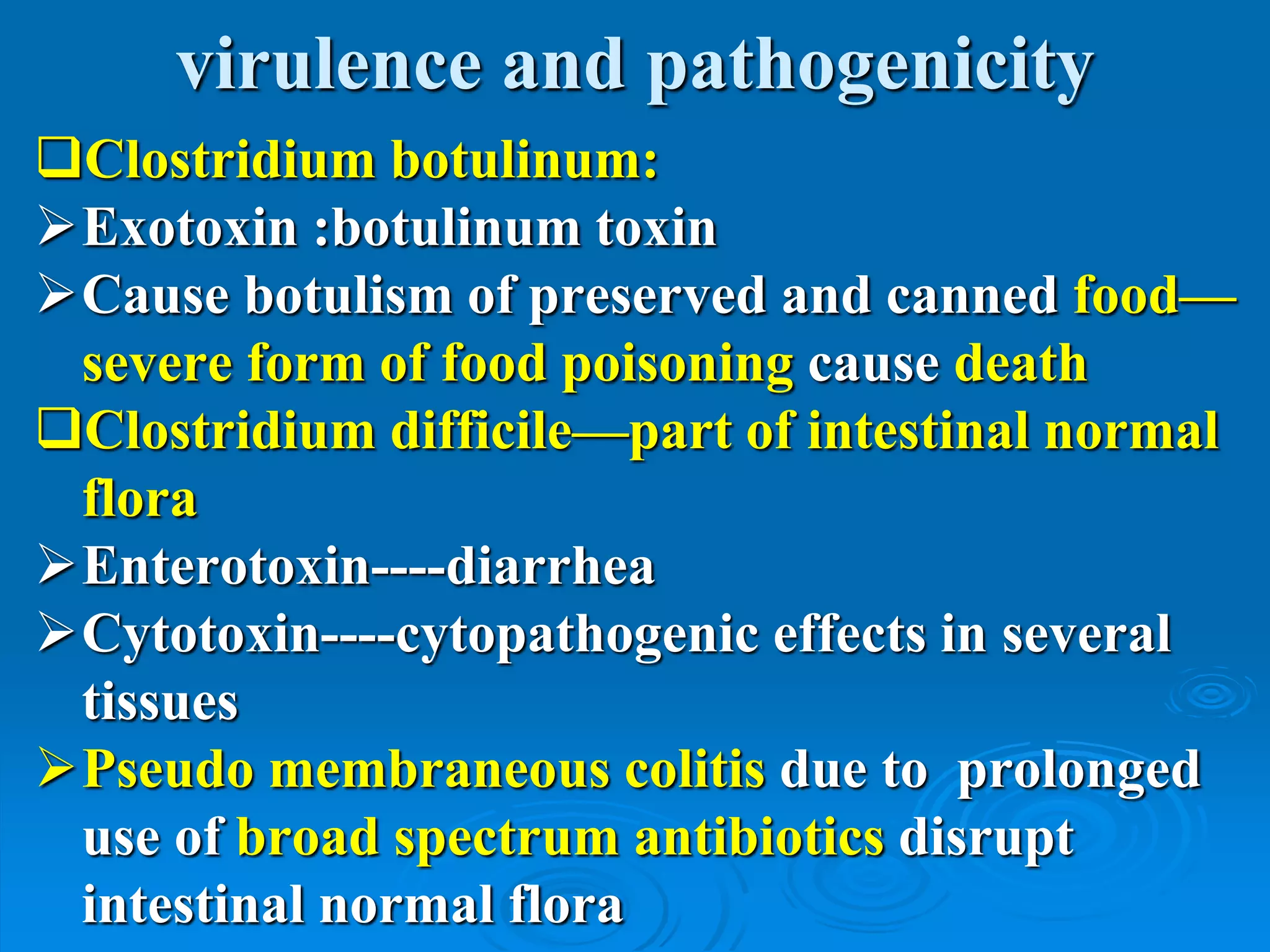 Bacteria ppt.ppt