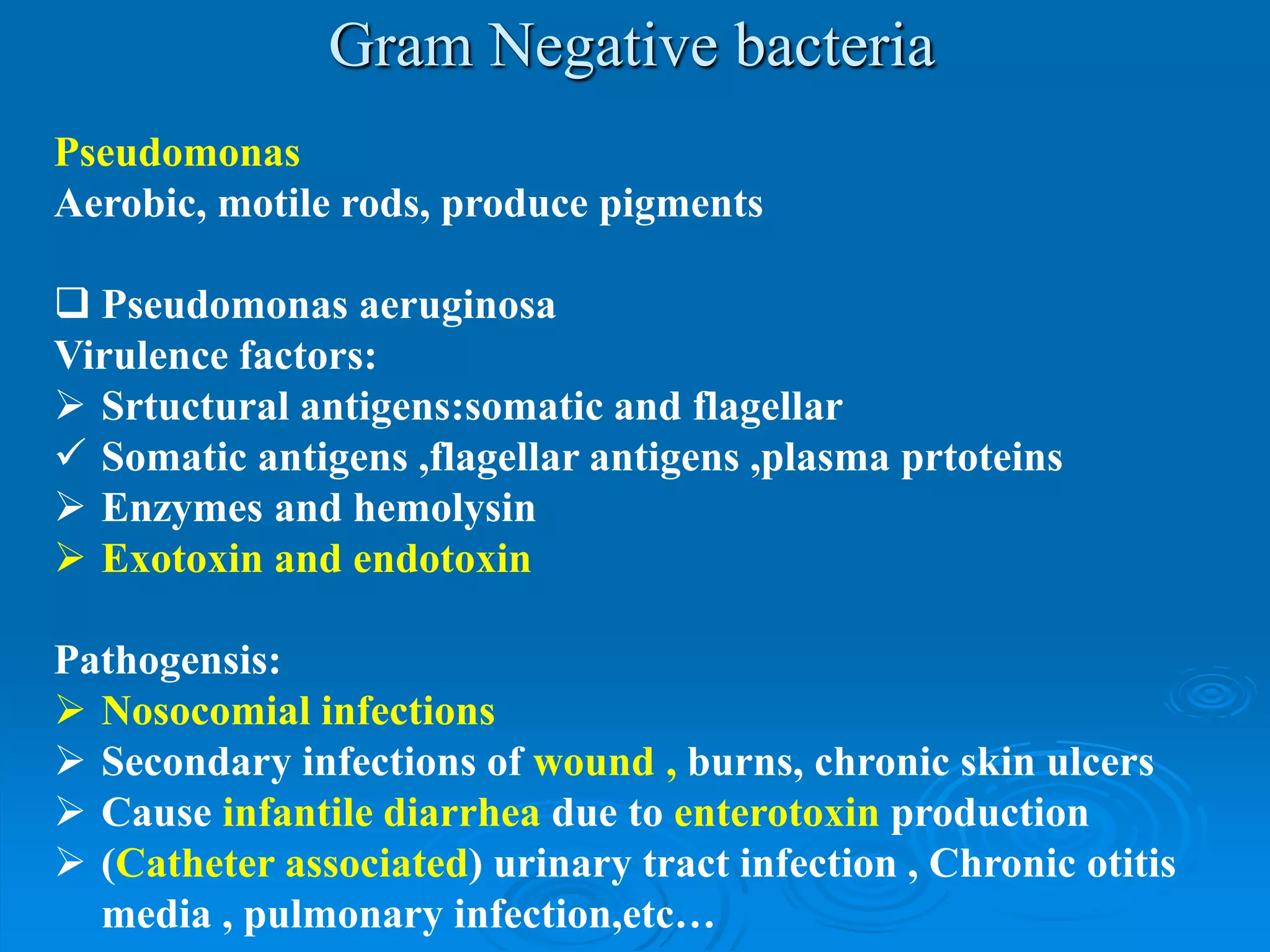 Bacteria ppt.ppt