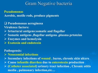 Bacteria ppt.ppt