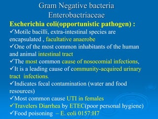 Bacteria ppt.ppt