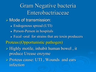 Bacteria ppt.ppt