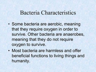 Bacteria_ppt.ppt