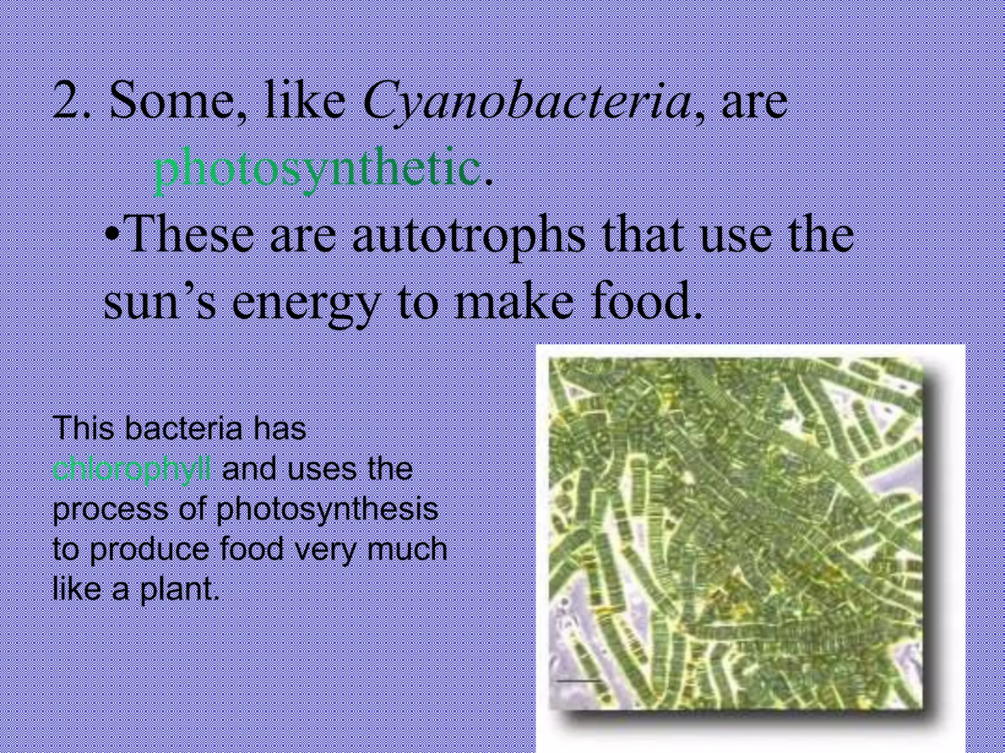 Grade 11 - Microorganisms: Bacteria | PPT