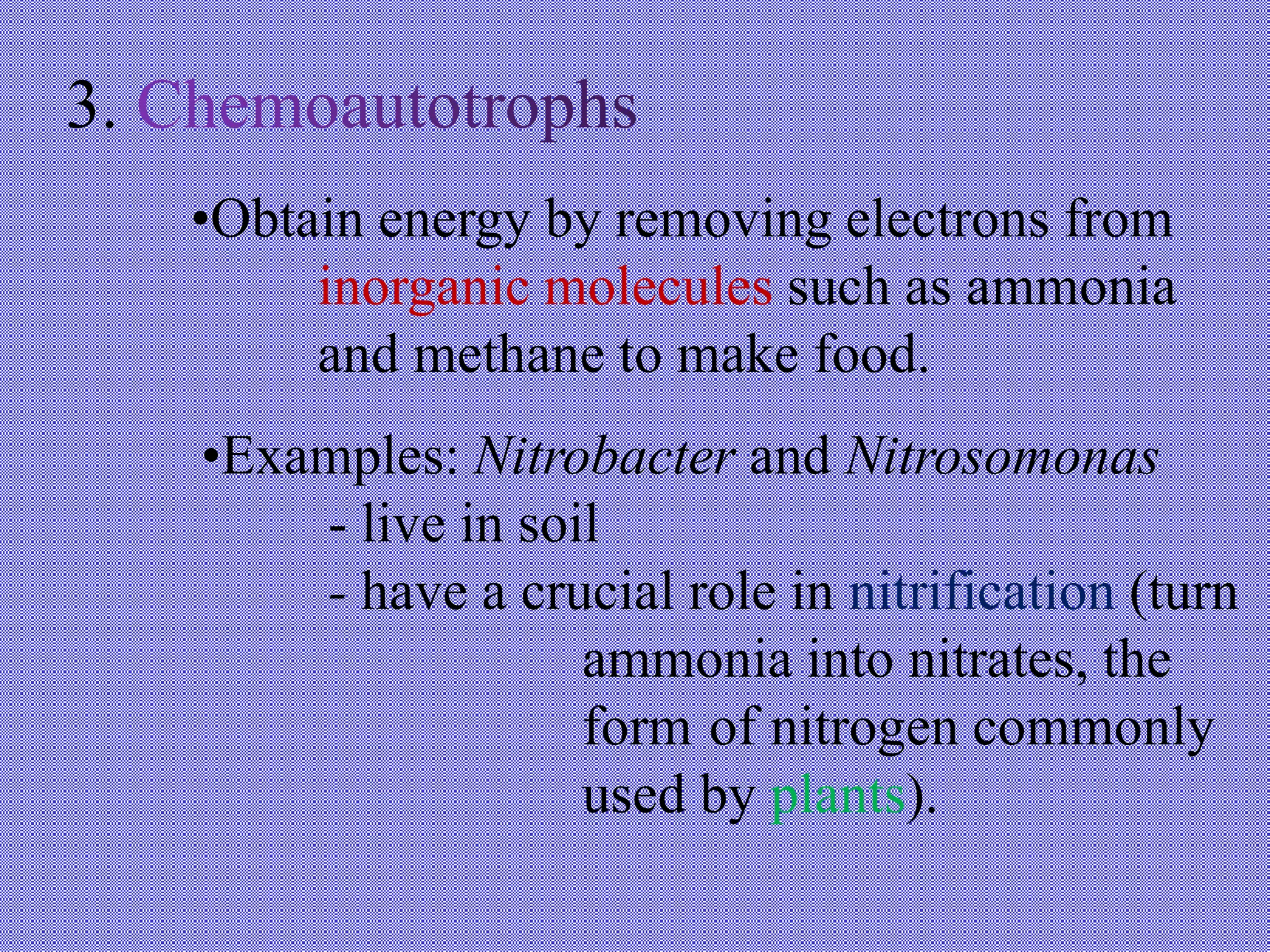 Grade 11 - Microorganisms: Bacteria | PPT