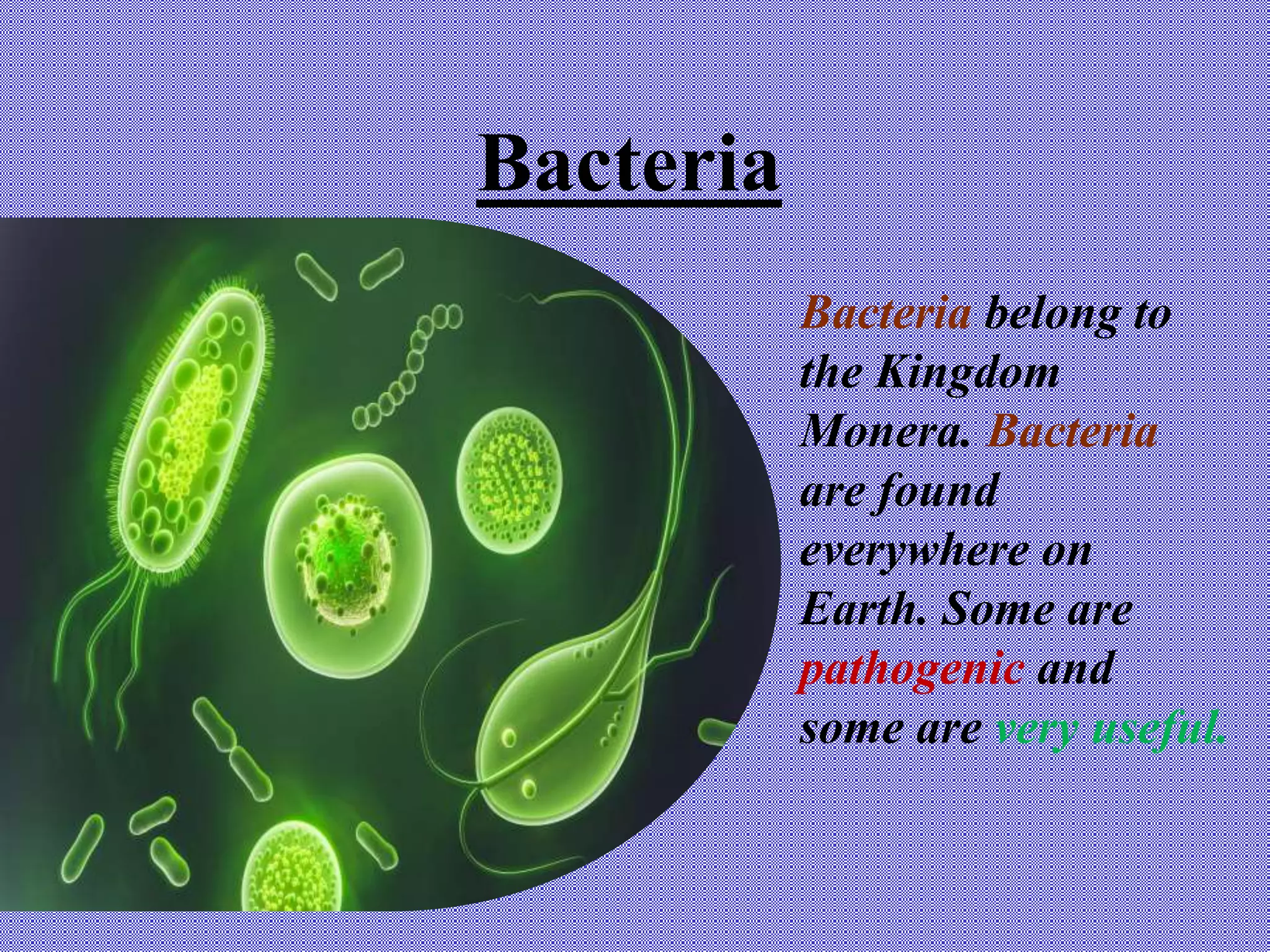 Grade 11 - Microorganisms: Bacteria | PPT