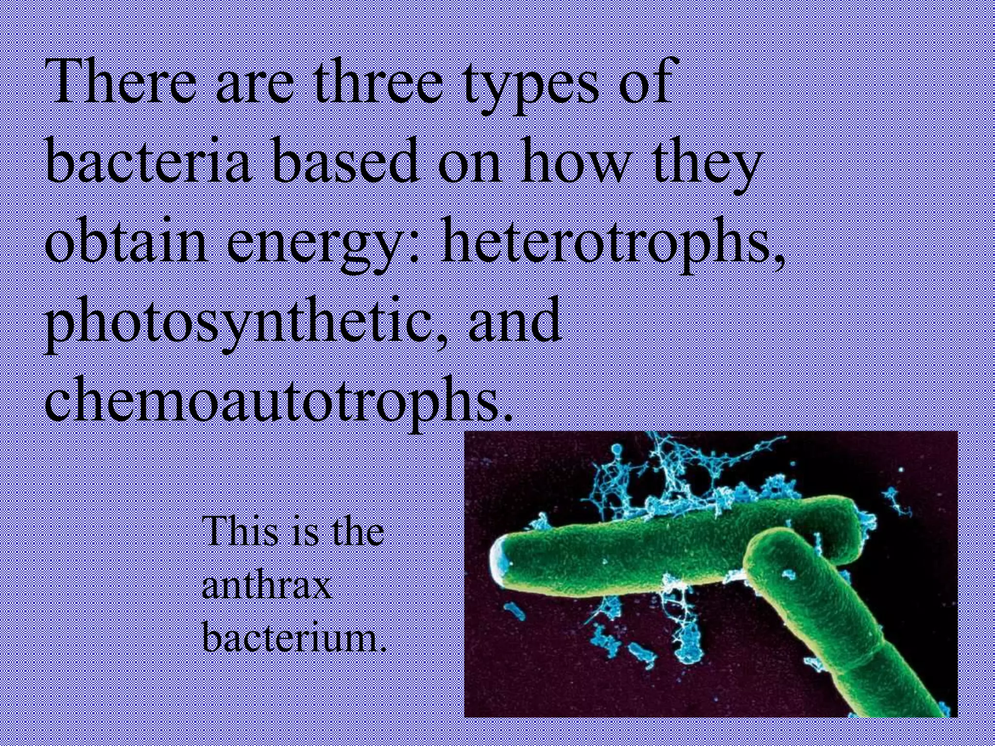 Grade 11 - Microorganisms: Bacteria | PPT