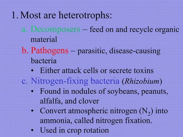 Grade 11 - Microorganisms: Bacteria | PPT | Biological Sciences | Science