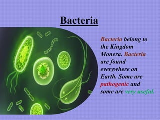 Microorganisms Bacteria