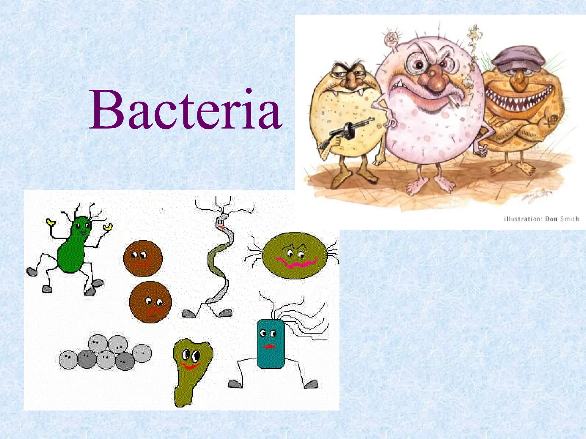 Bacteria_ppt - Describing types of Bacteria | PPT