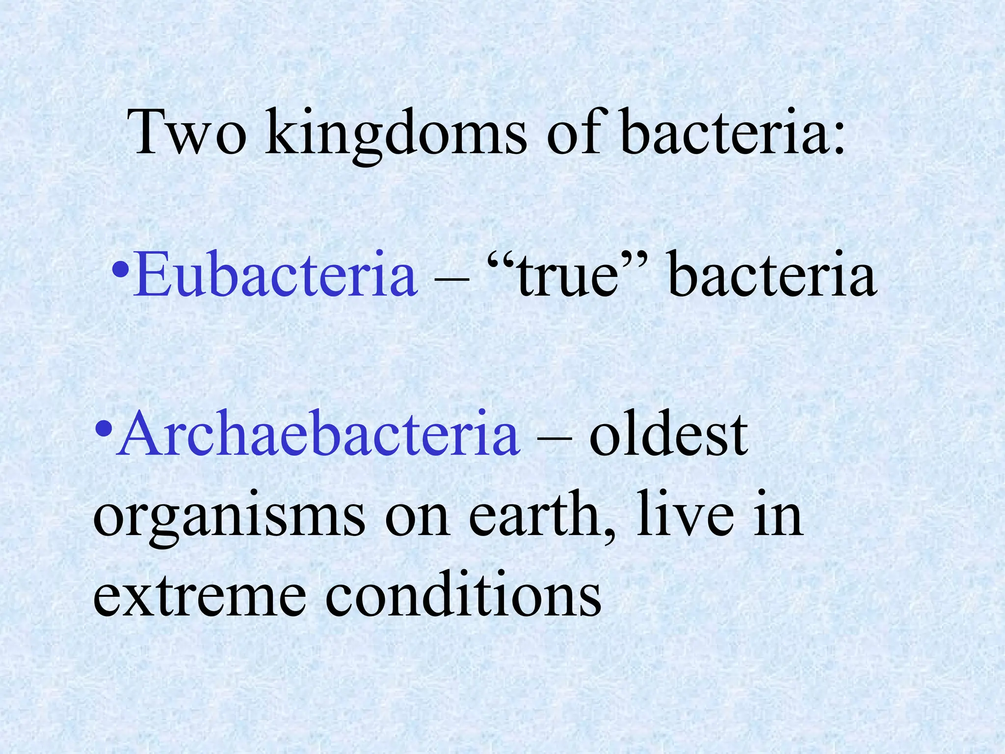 Bacteria_ppt - Describing types of Bacteria | PPT | Chemistry | Science