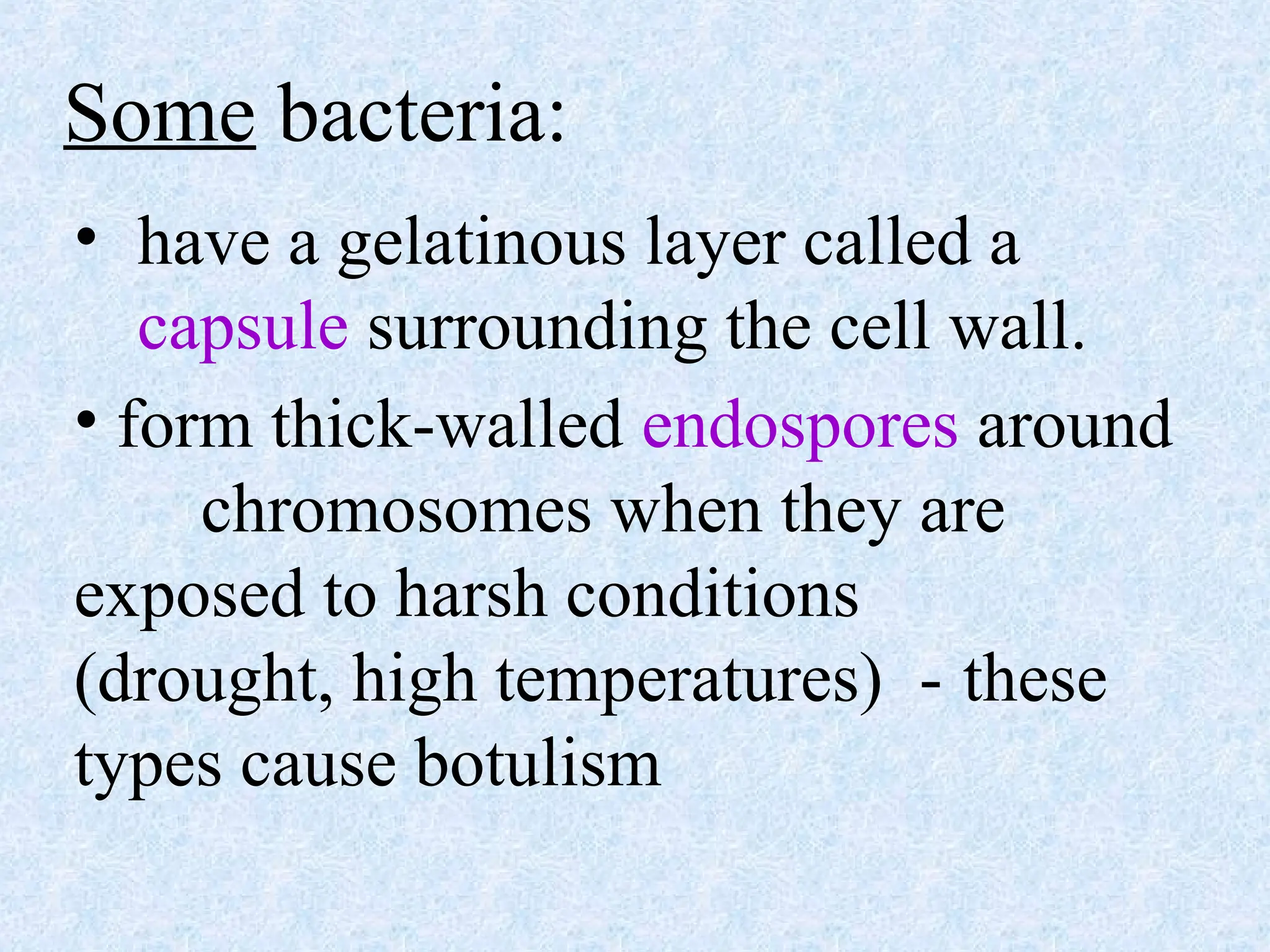 Bacteria_ppt - Describing types of Bacteria | PPT | Chemistry | Science