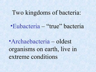 Bacteria_ppt - Describing types of Bacteria | PPT