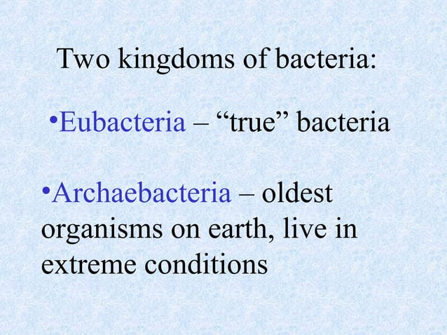 Bacteria_ppt - Describing types of Bacteria | PPT | Chemistry | Science
