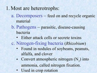 Bacteria_ppt - Describing types of Bacteria | PPT
