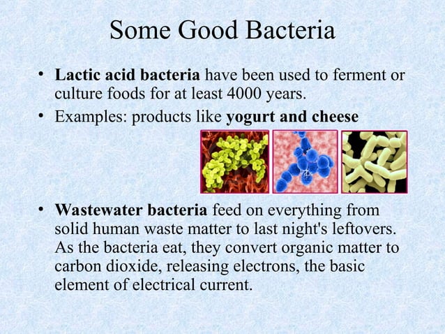 Bacteria_ppt - Describing types of Bacteria | PPT | Chemistry | Science