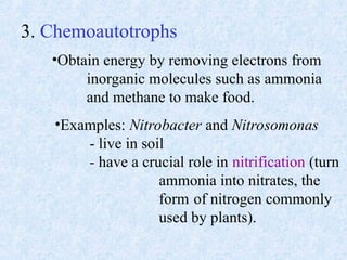 Bacteria functions , types, classifications .ppt | Chemistry | Science