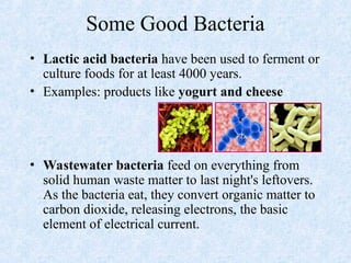 Bacteria functions , types, classifications .ppt | Chemistry | Science