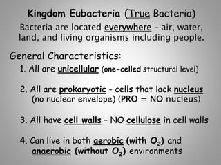 Bacteria | PPTX