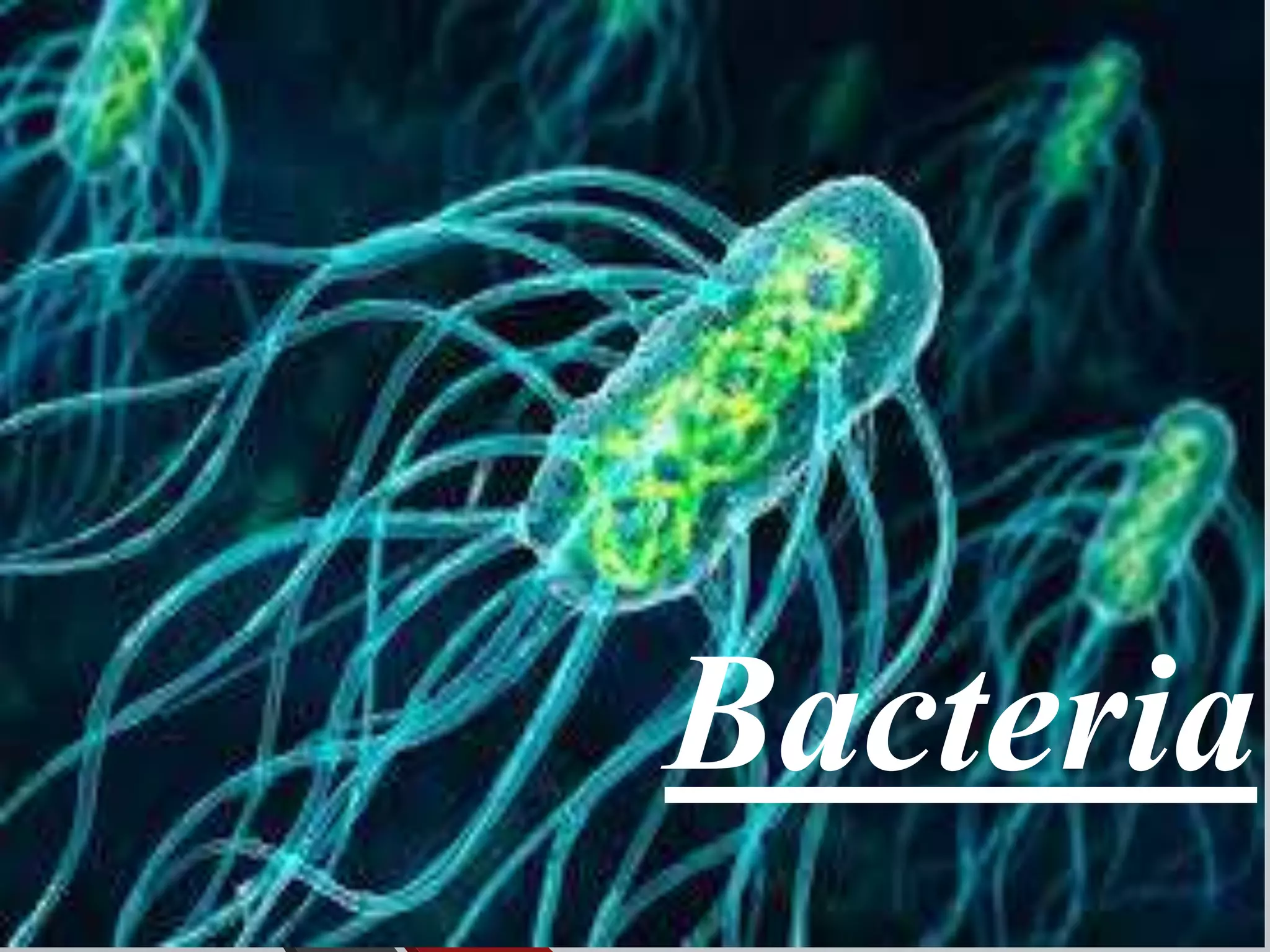 Introduction to Bacteria .. | PPTX
