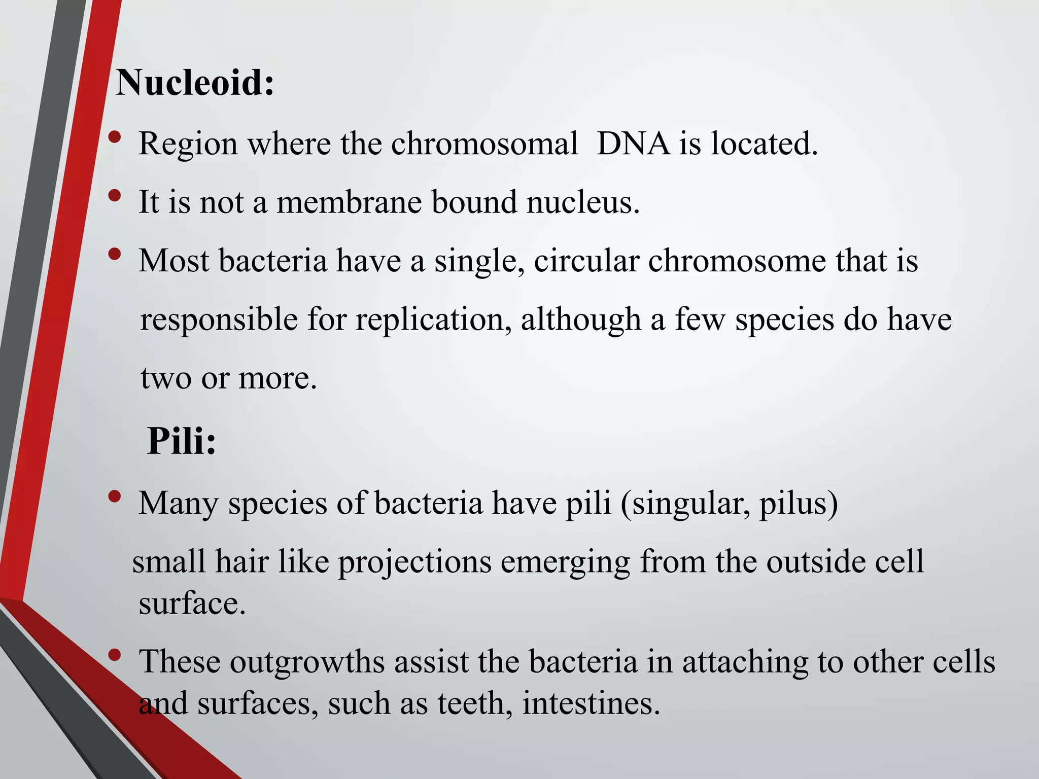 Introduction to Bacteria .. | PPTX