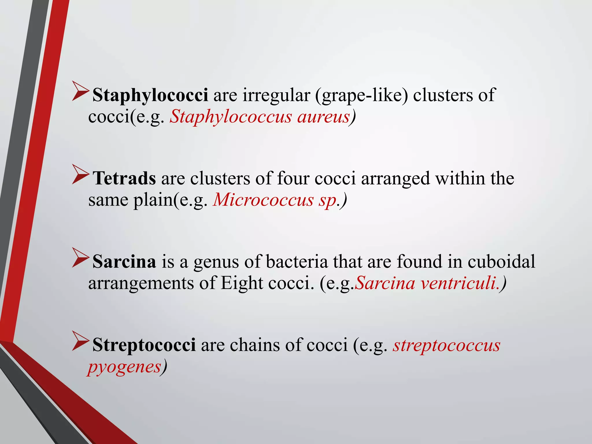 Introduction to Bacteria .. | PPTX