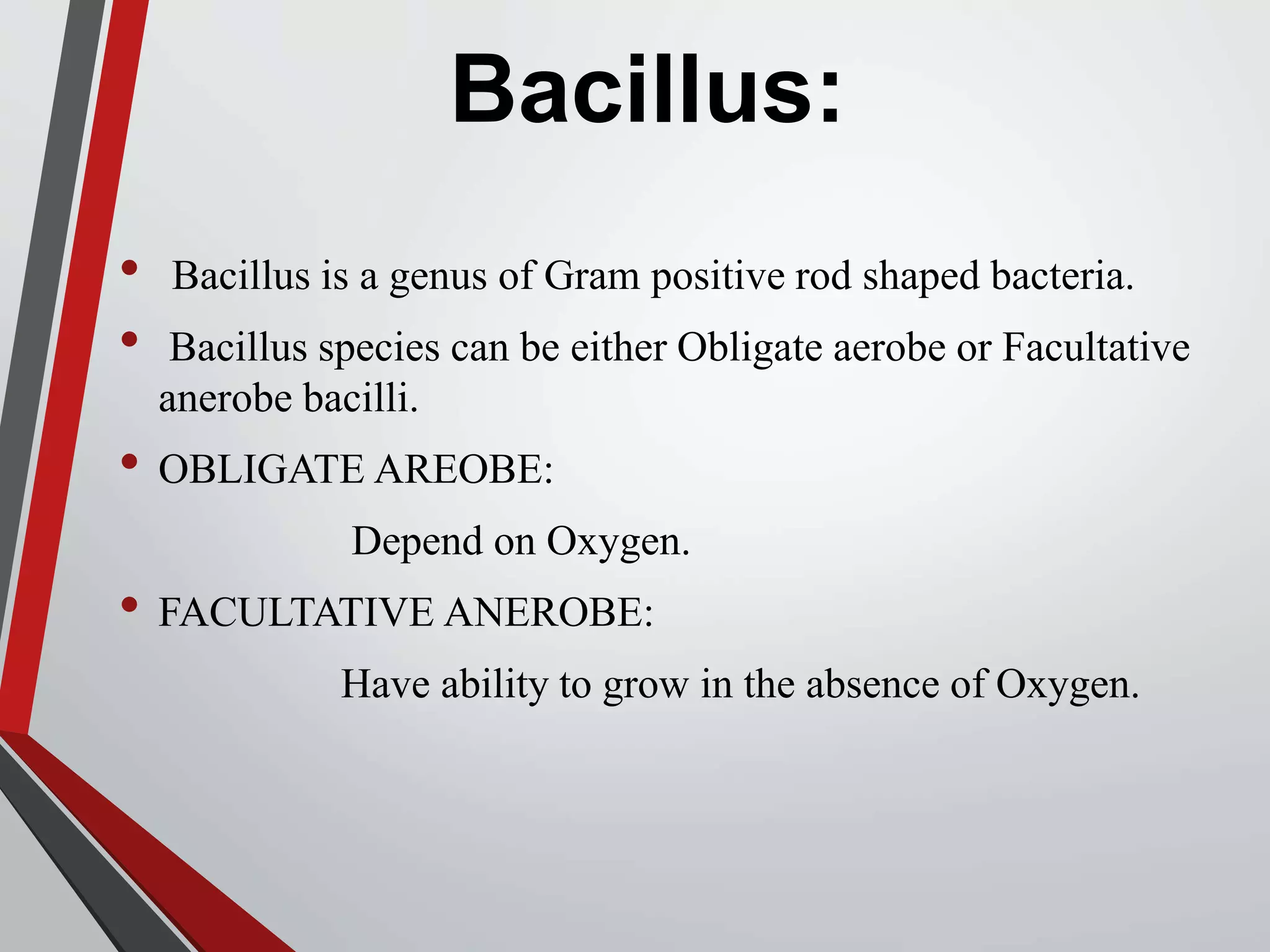 Introduction to Bacteria .. | PPTX